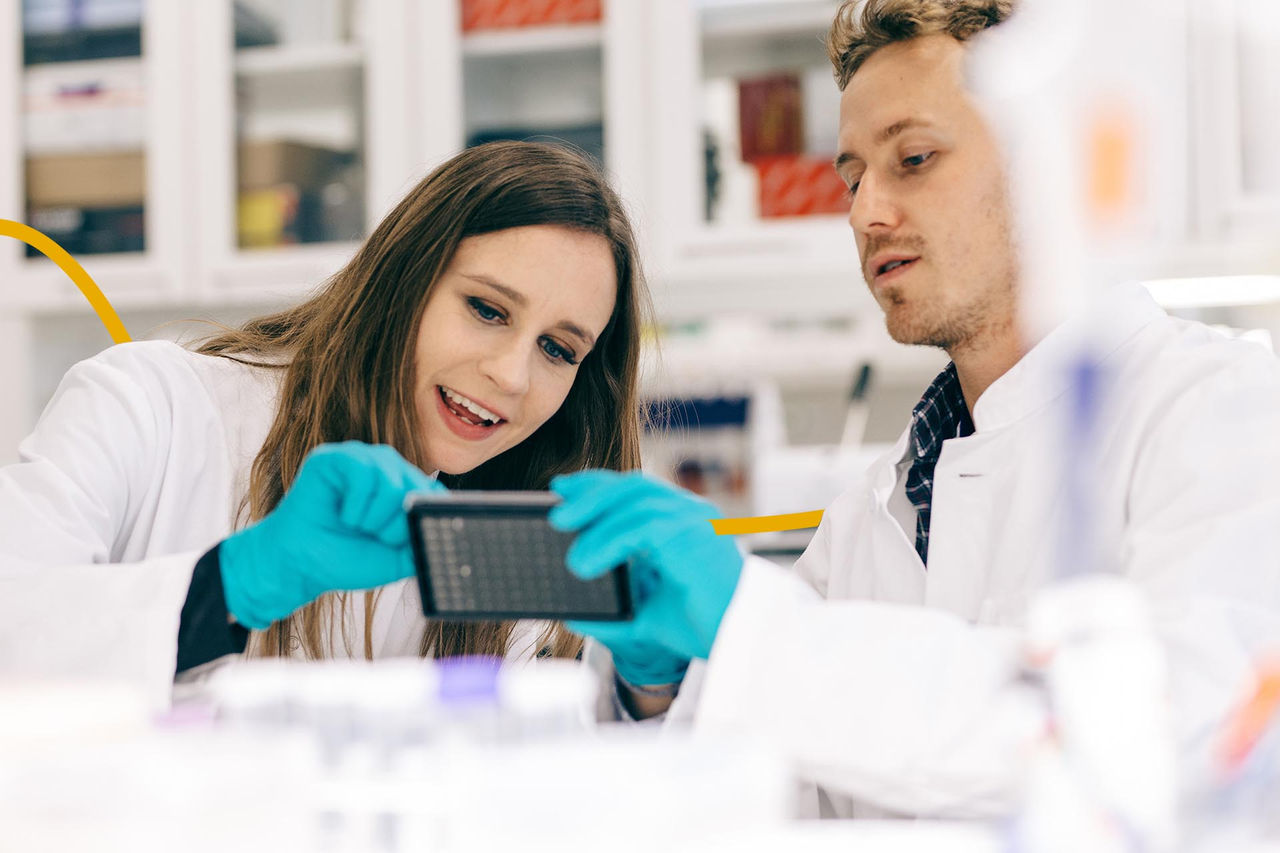 Cardiovascular researchers