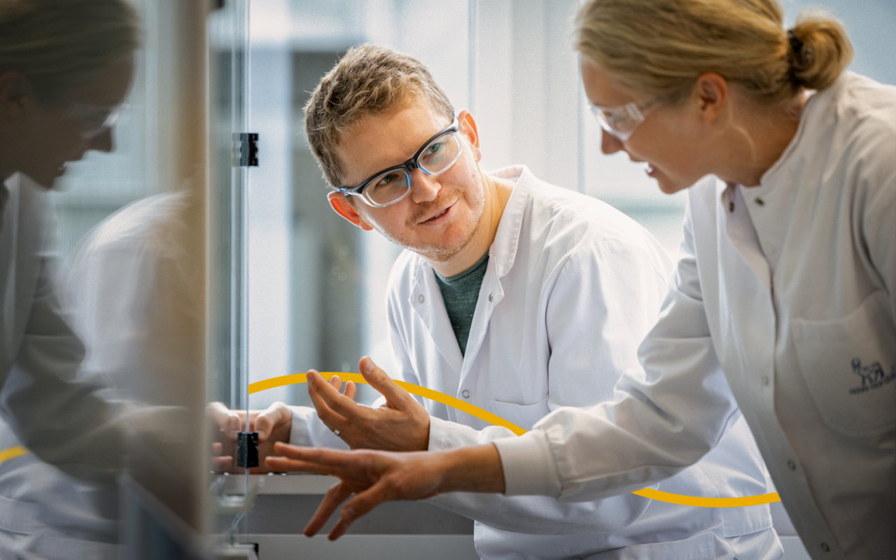 Chemical Development careers