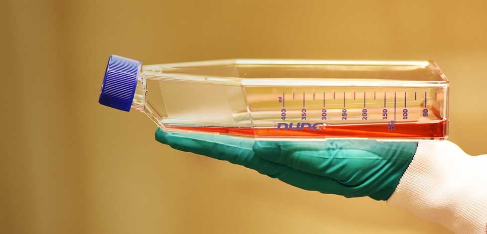 Stem Cell Ethics stem-cell-ethics